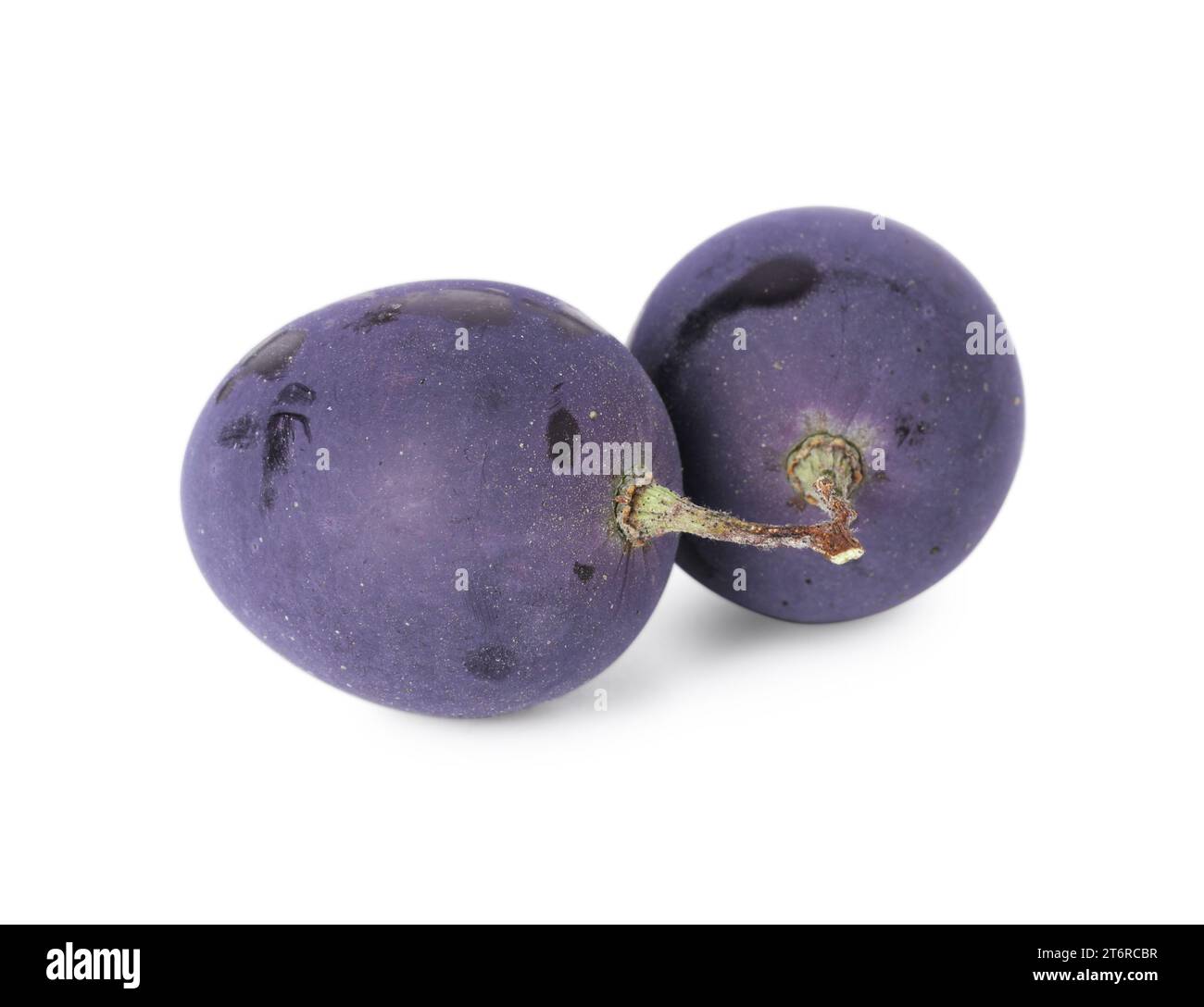 Two dark blue organic Cut Out Stock Images & Pictures - Alamy