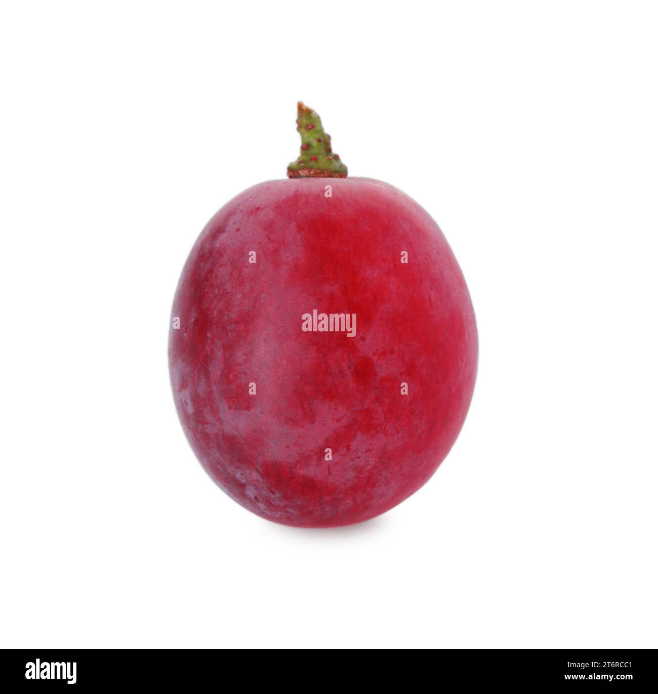 One ripe red grape isolated on white Stock Photo - Alamy
