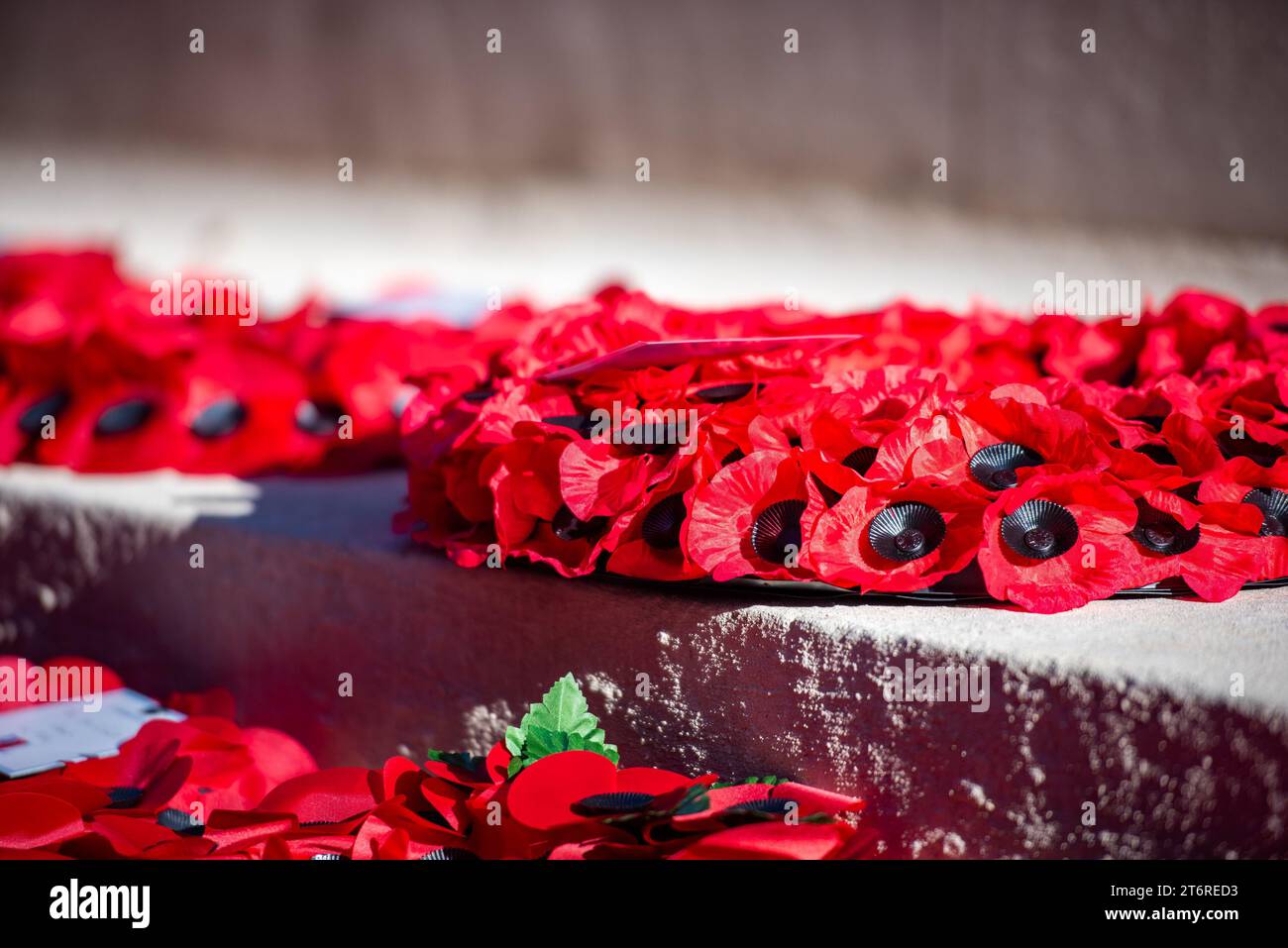 Poppy wreathes were displayed at the Armistice Day 2023 at the Cenotaph ...