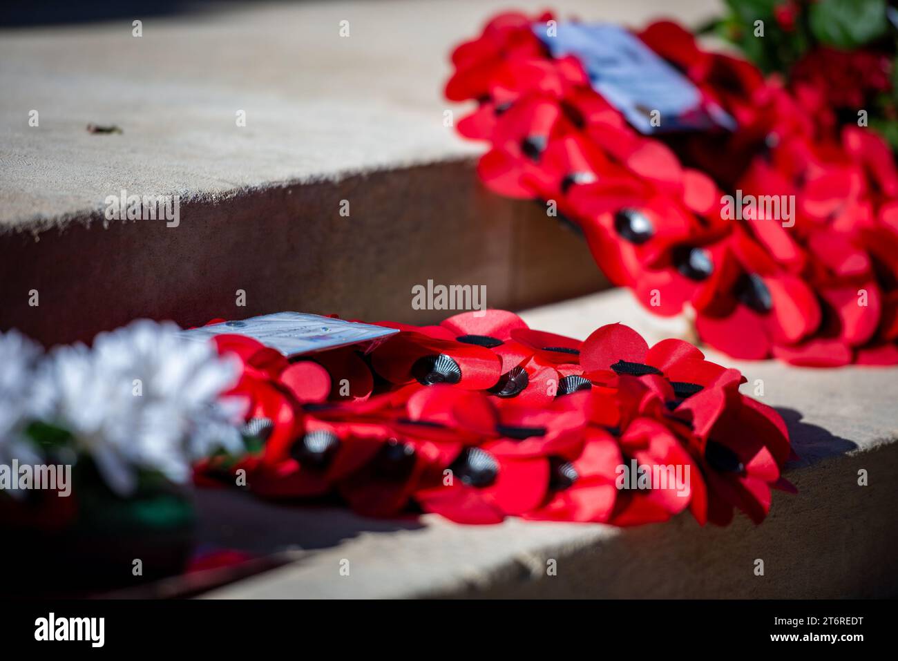 Poppy wreathes were displayed at the Armistice Day 2023 at the Cenotaph ...