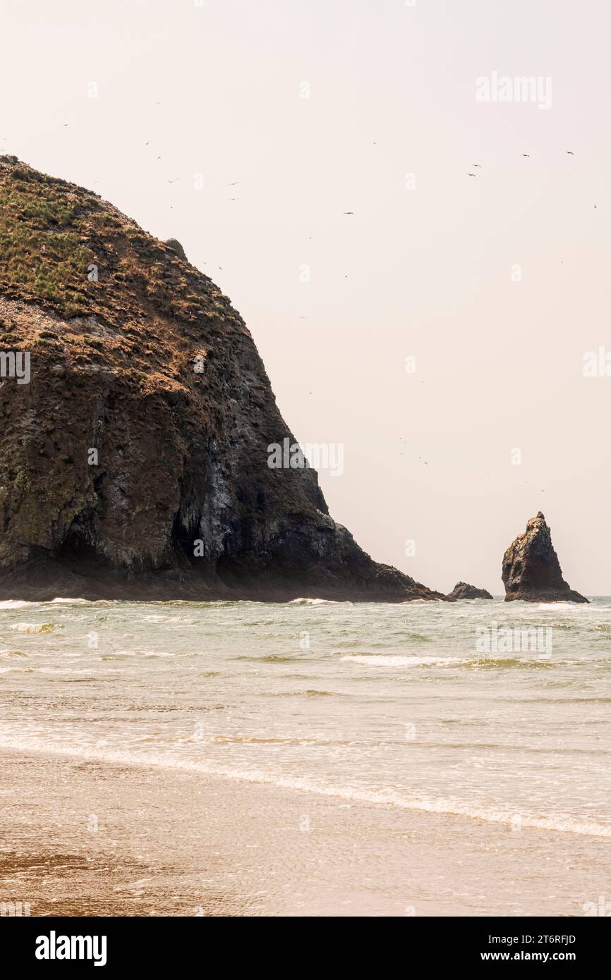 Haystack Rock, a designated bird sanctuary, rises out of the Pacific ...