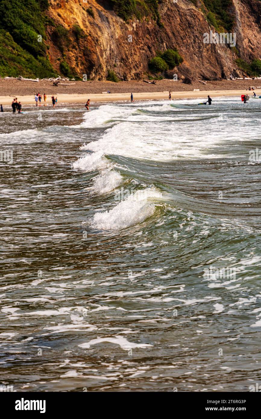 Swimmers wade in the surf as a wave rolls onto the beach at Ecola State ...