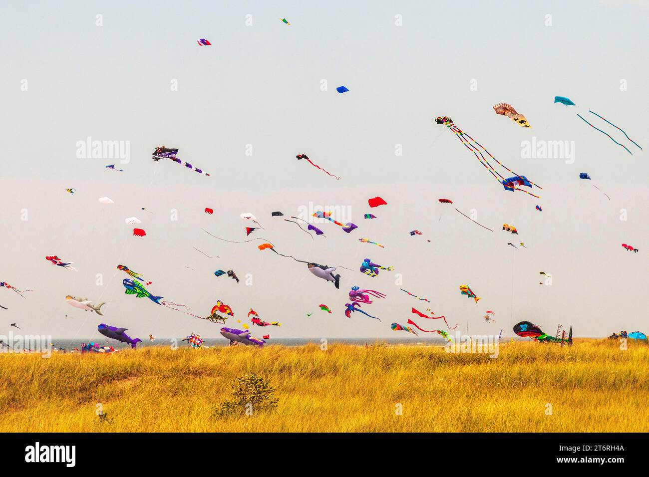 Different shapes of kites hi-res stock photography and images - Alamy