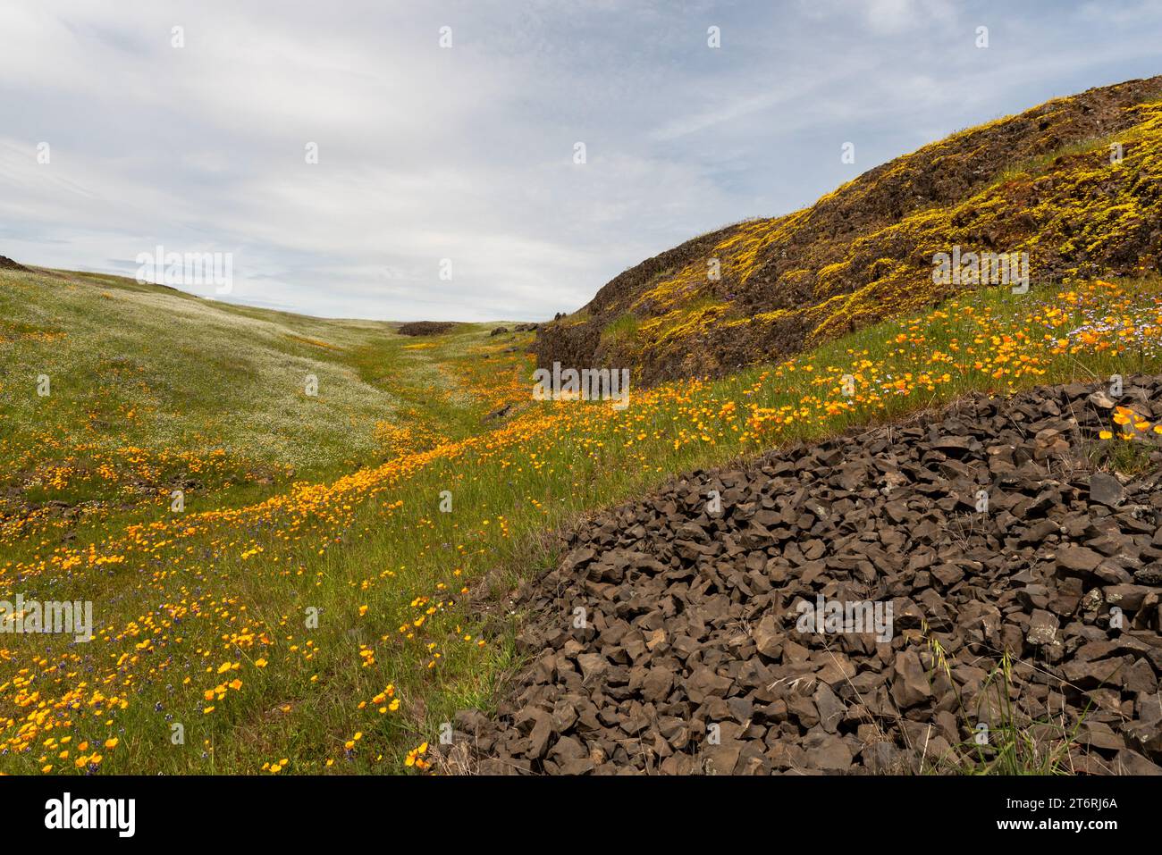 Landscape at North Table Mountain Ecological Preserve, Oroville ...