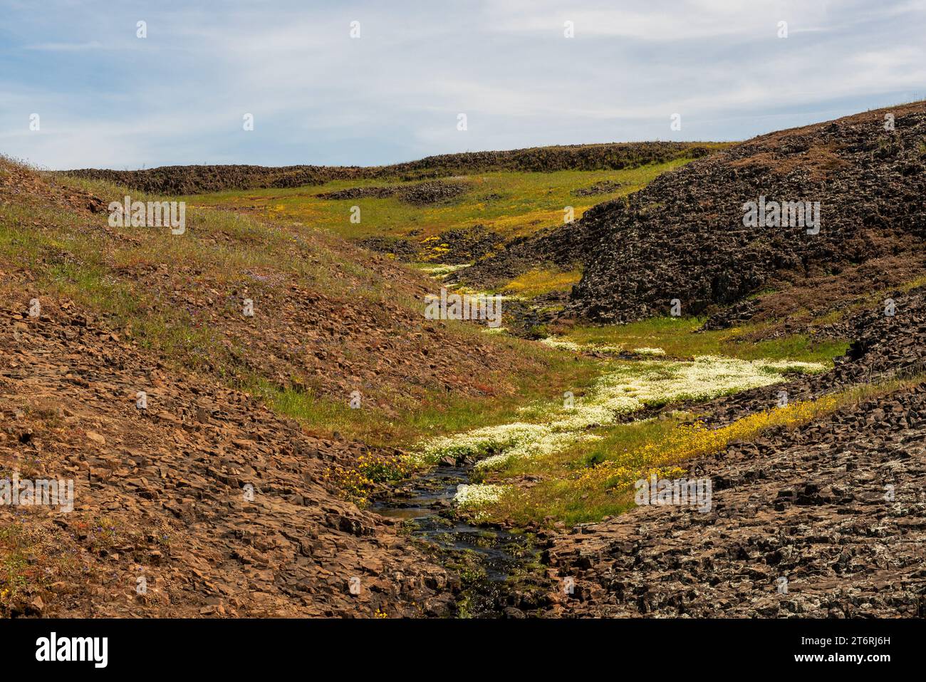 Creek at North Table Mountain Ecological Preserve, Oroville, California ...