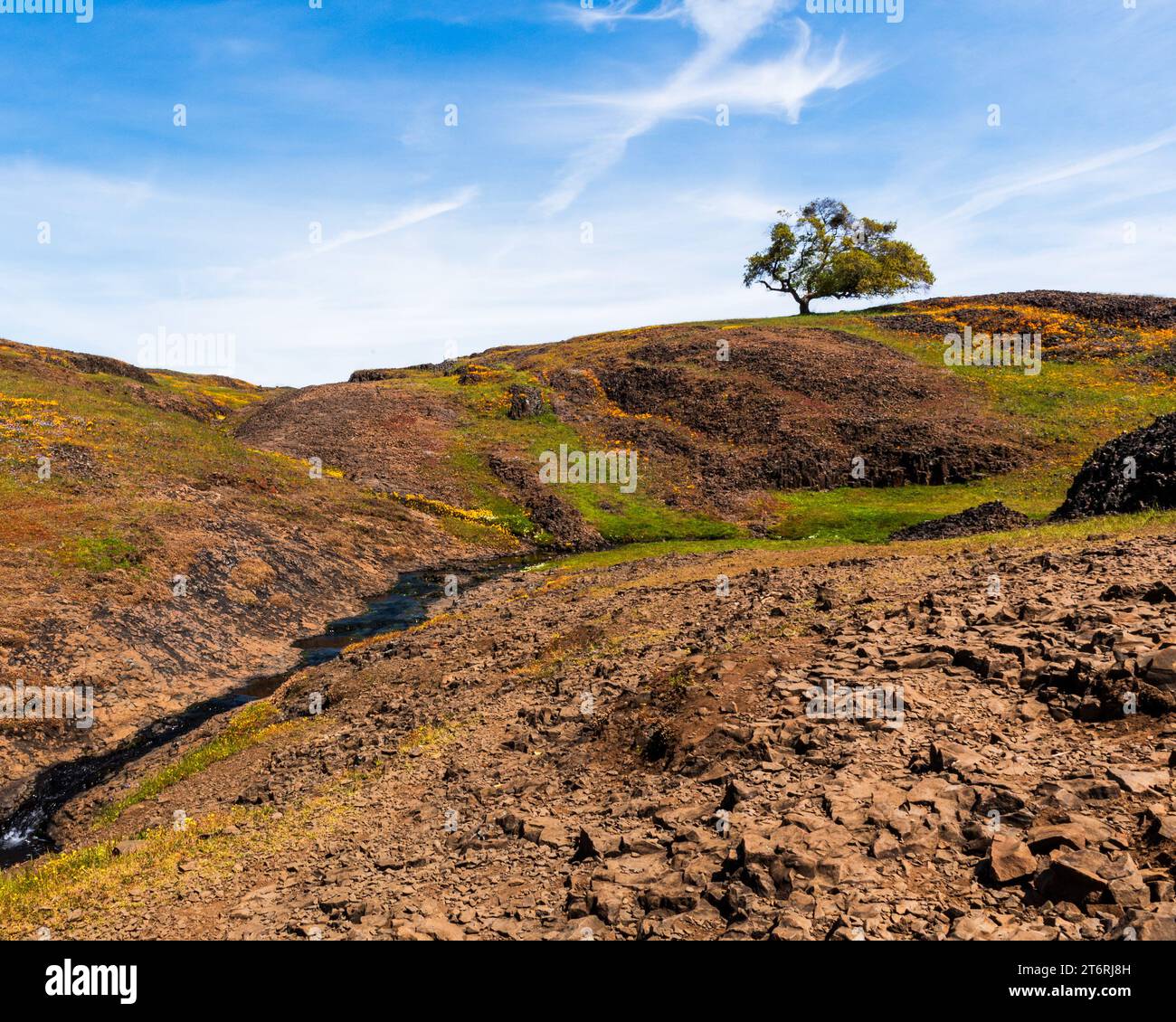 Landscape at North Table Mountain Ecological Preserve, Oroville ...