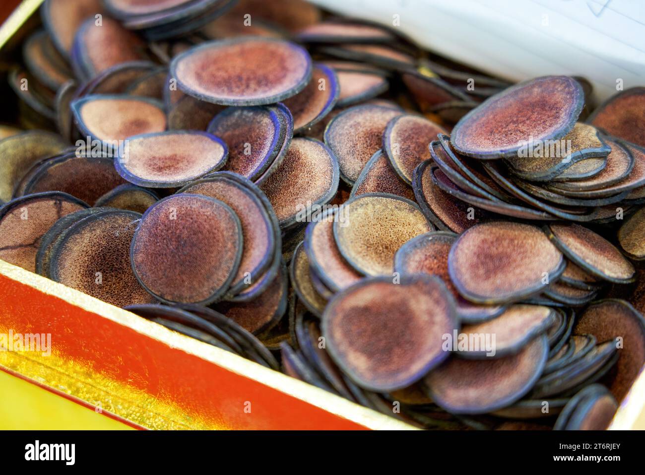 Traditional Chinese herbal medicine, deer antler slices close-up Stock ...