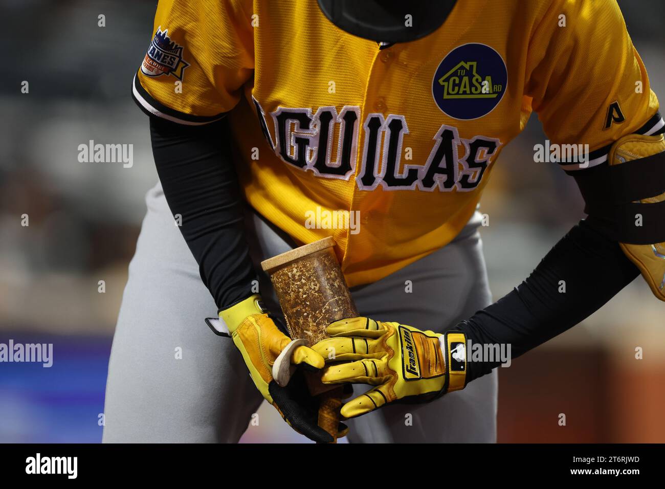 Las Águilas Cibaeñas Alexander Canario (7) stands on deck during the ...