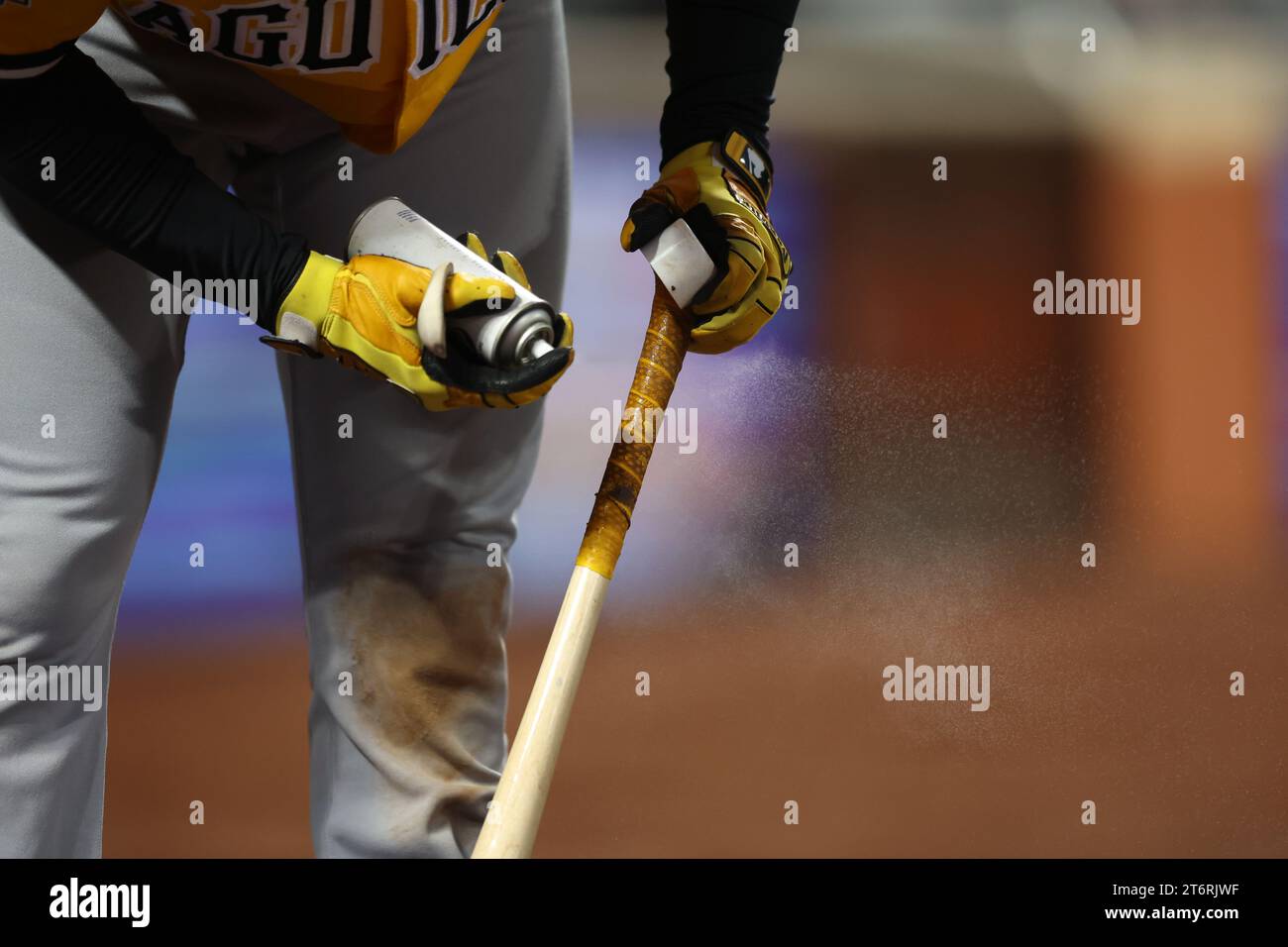 Alexander canario hi-res stock photography and images - Alamy