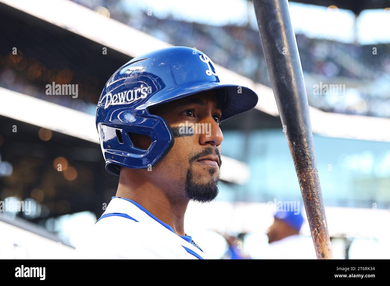 Los Tigres del Licey Robel Garcia (71) stands in the hole during the ...