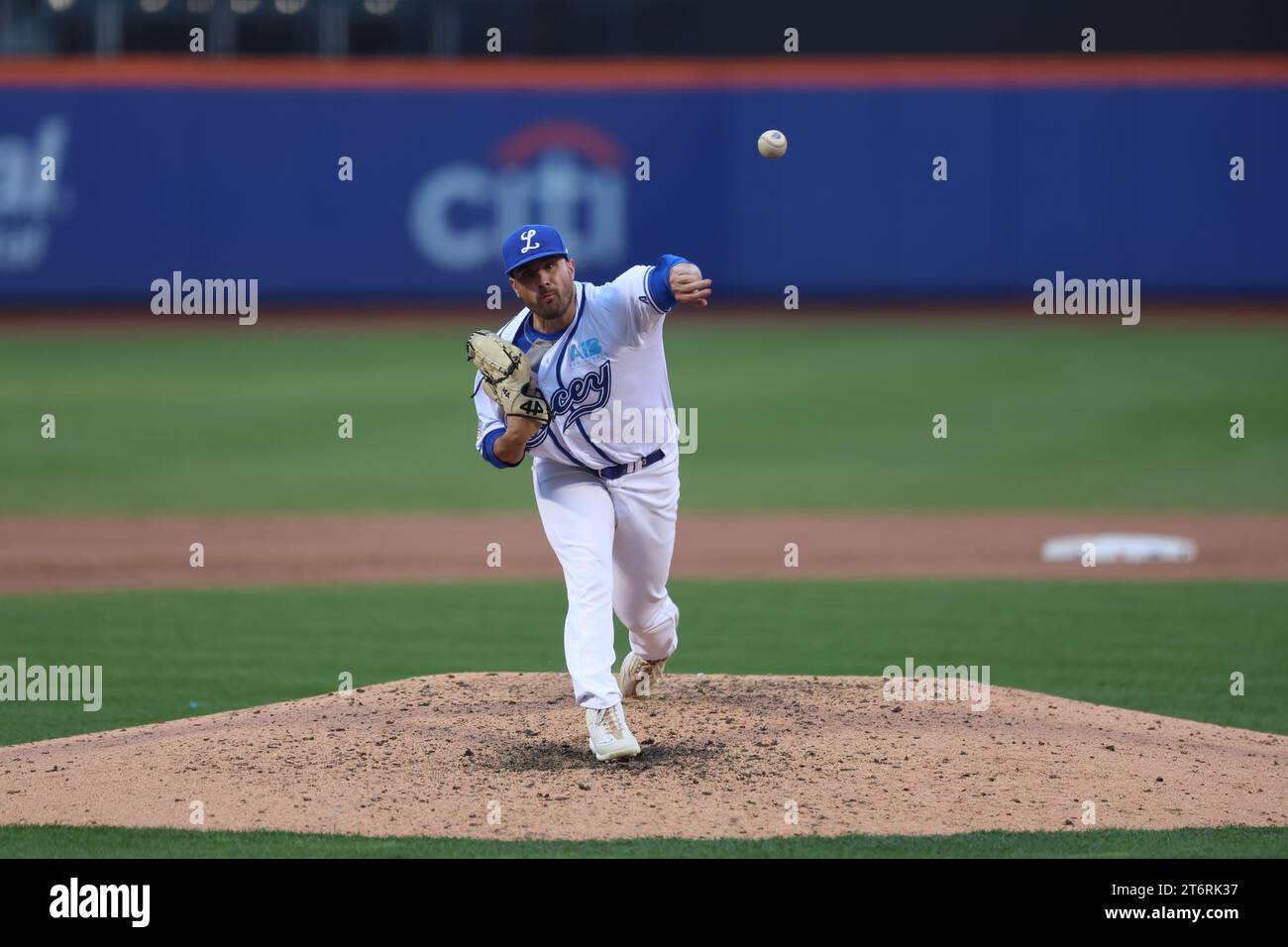 Los Tigres del Licey starting pitcher Steve Moyers (50) throws during ...