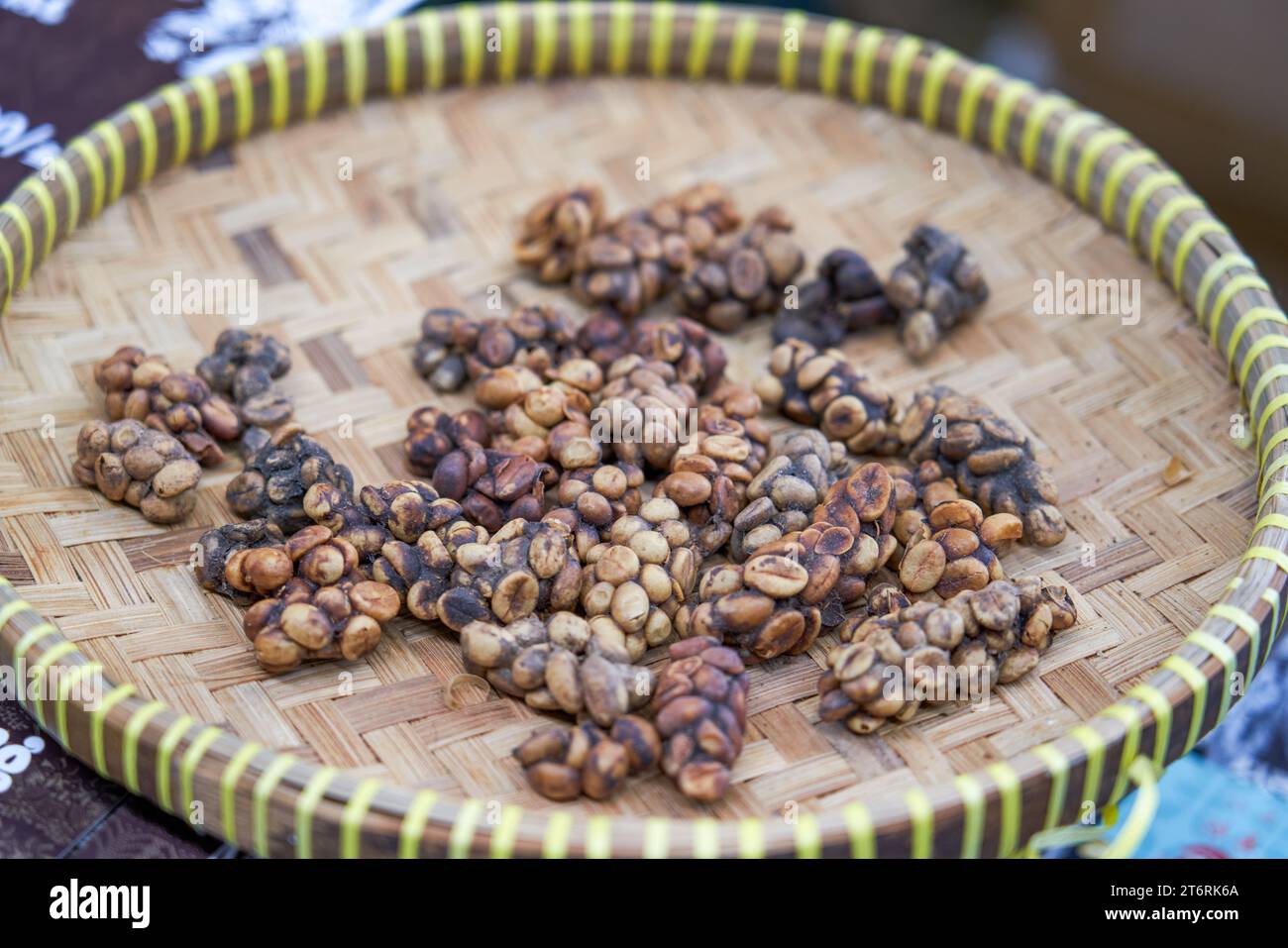 Close-up of rich cat poop coffee Stock Photo - Alamy