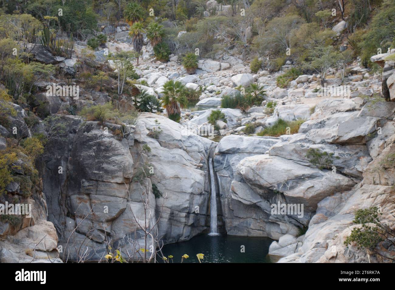 A 60 foot waterfall in Cañon de la Zorra (Fox Canyon) near Cabo San ...