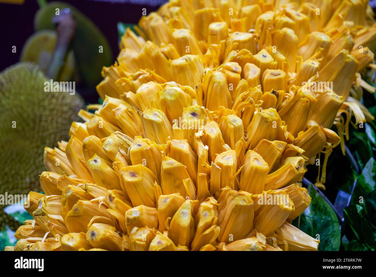 Jackfruit tree flower hi-res stock photography and images - Alamy
