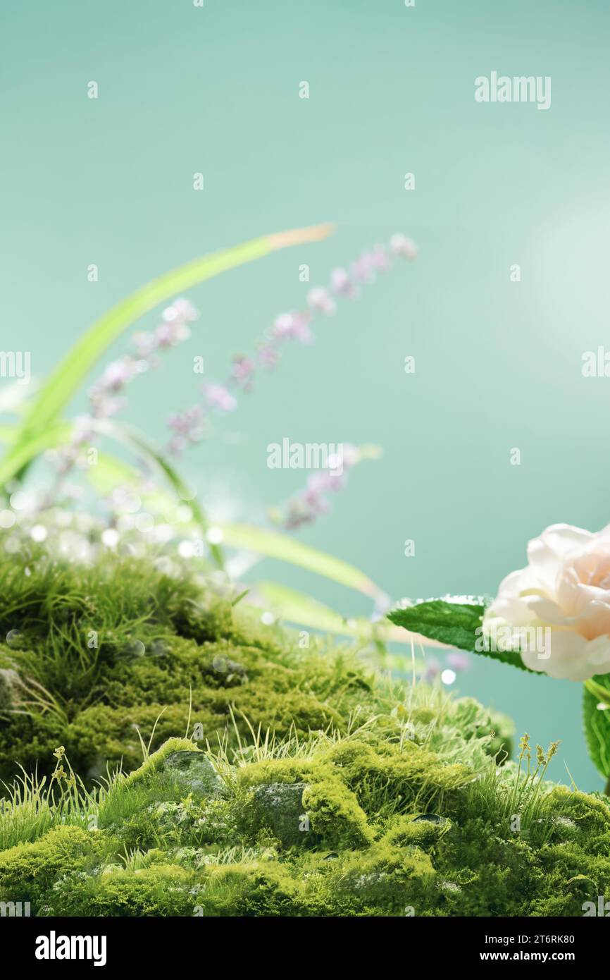 Product display backgrounds, Product photography backdrop, Product ...