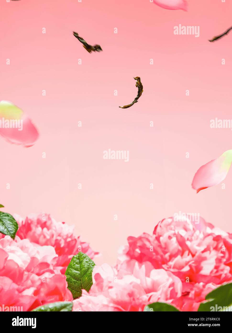 Product presentation backdrops, Background for product shots ...