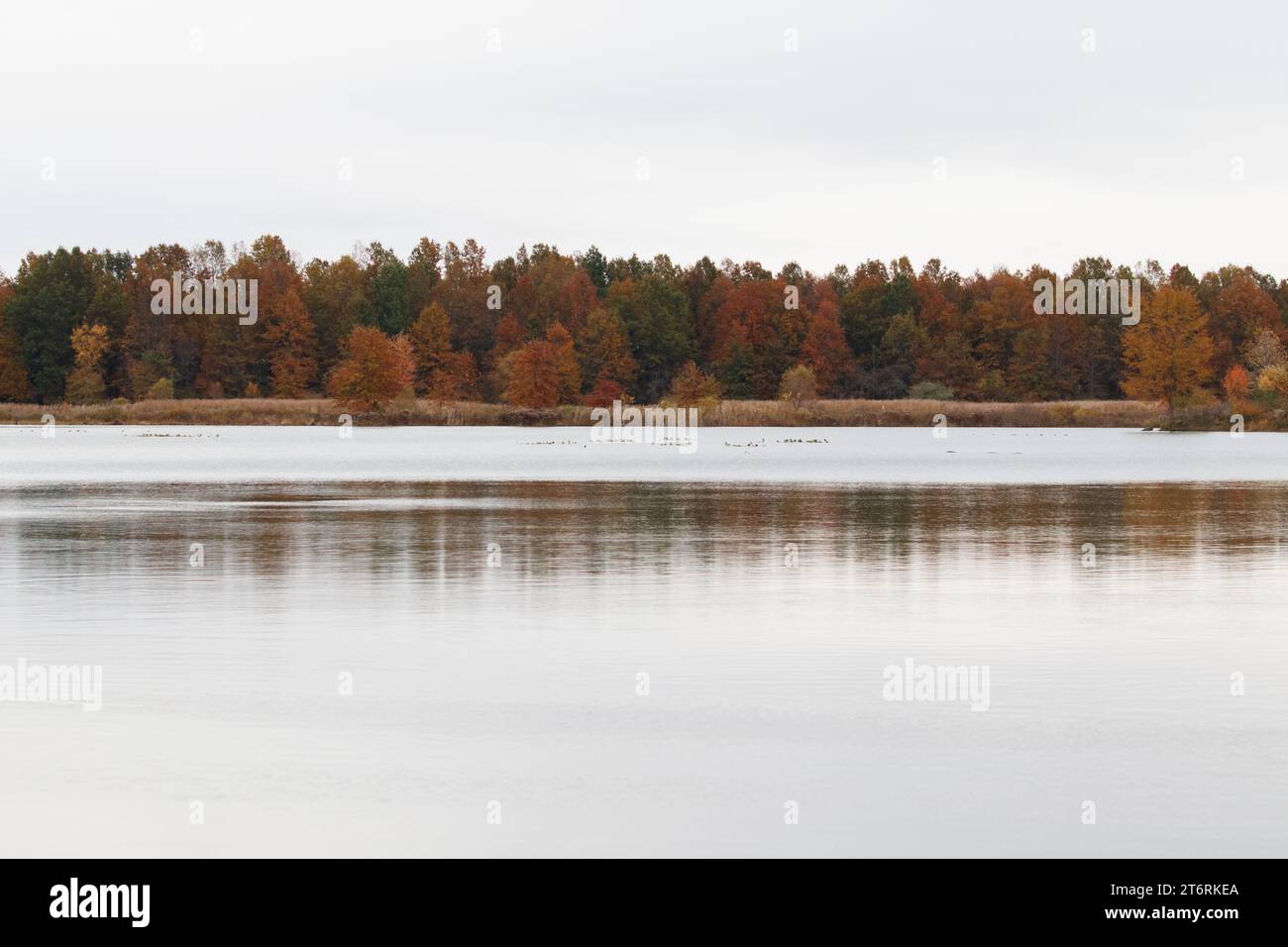 Sandy ridge reservation hi-res stock photography and images - Alamy