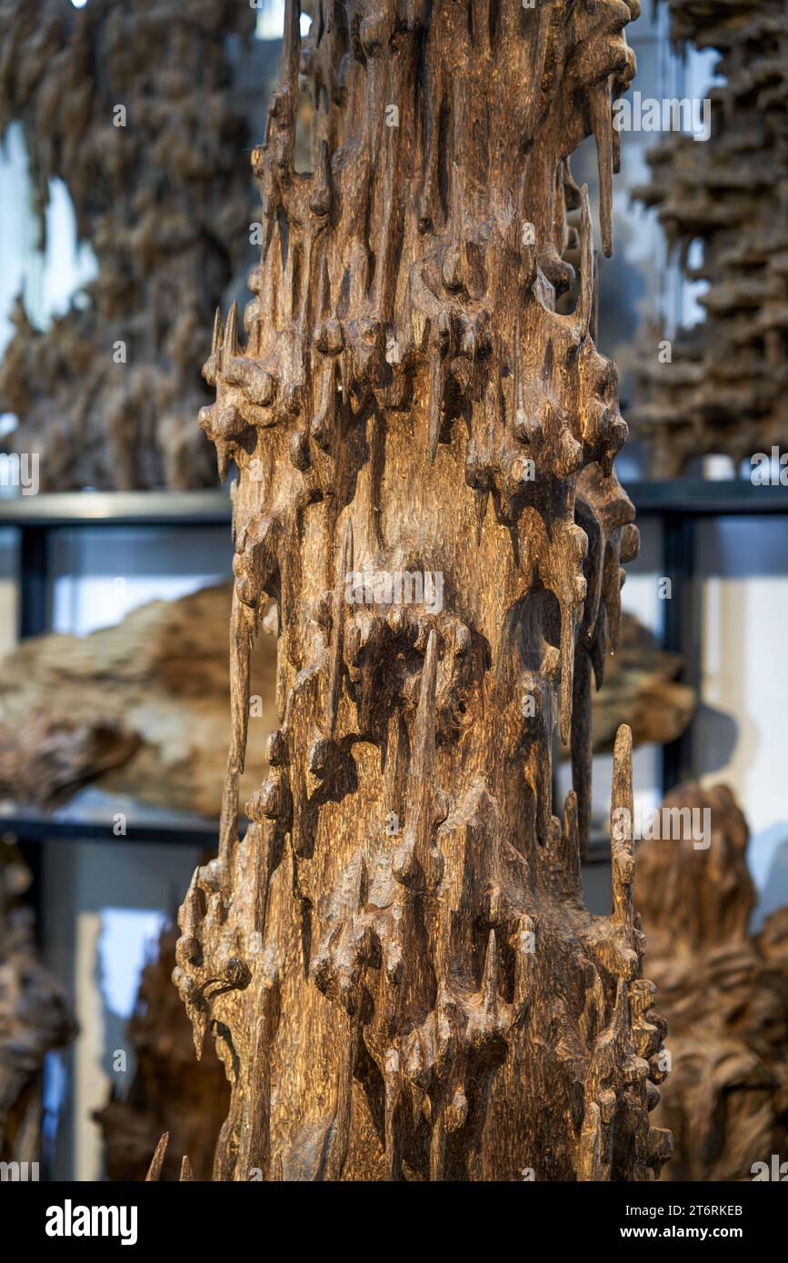 Southeast Asian traditional handicraft tree root carving close-up Stock ...