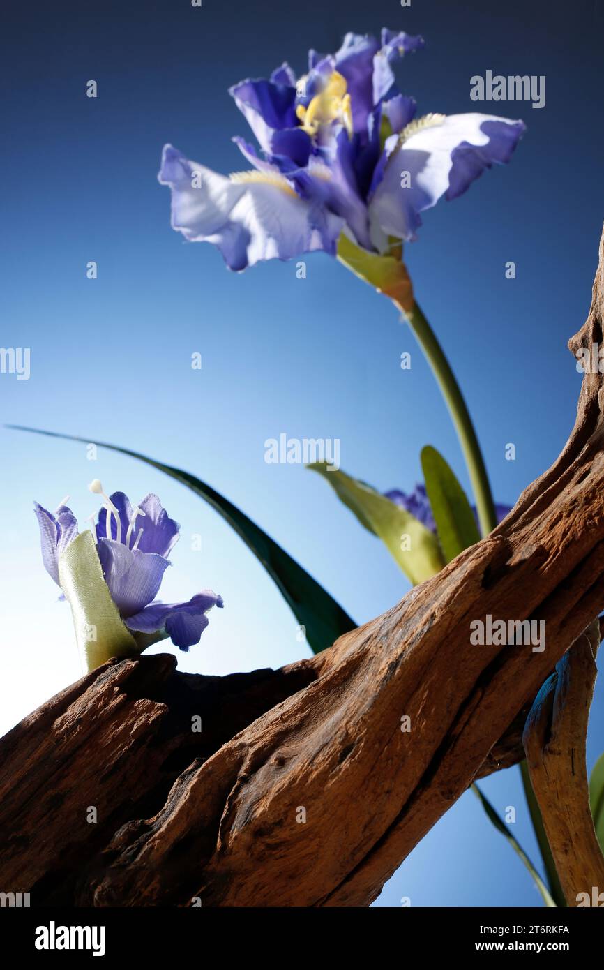 Product presentation backdrops, Background for product shots ...