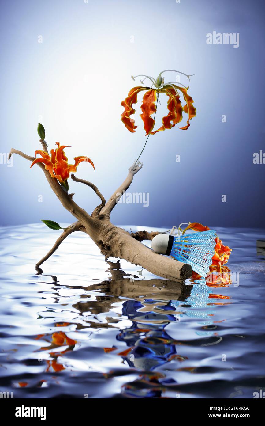 Product presentation backdrops, Background for product shots ...