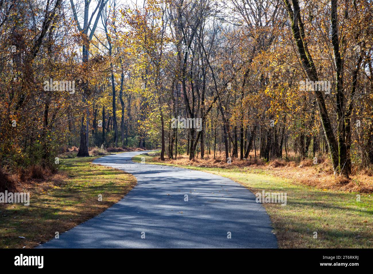 Long curve bright sun hi-res stock photography and images - Alamy