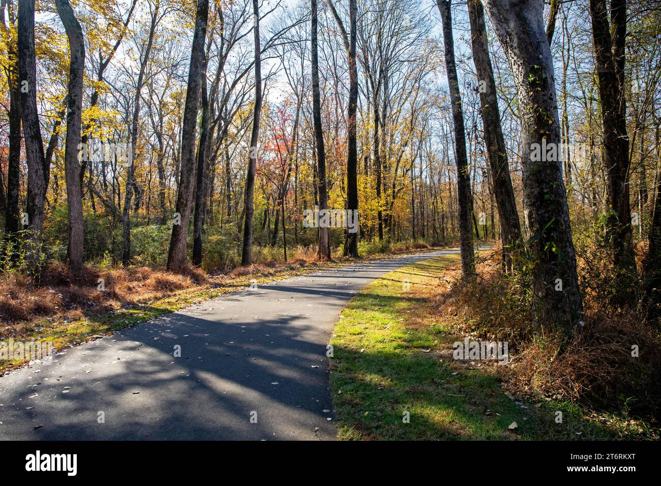 Bright morning sun casts long shadows on a nature trail in autumn Stock ...
