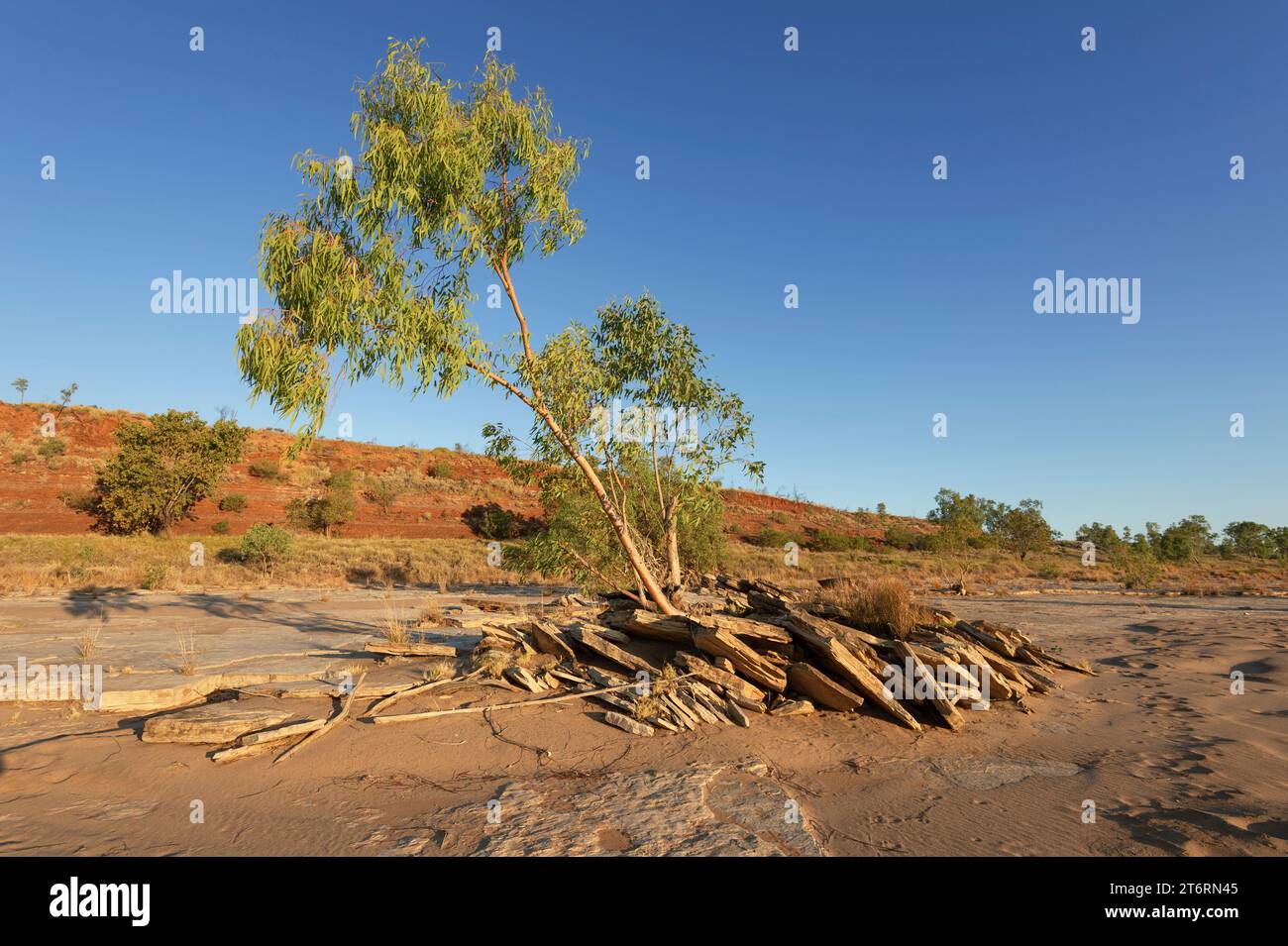 Dry riverbed of the Orb River in the golden light, Duncan Road ...