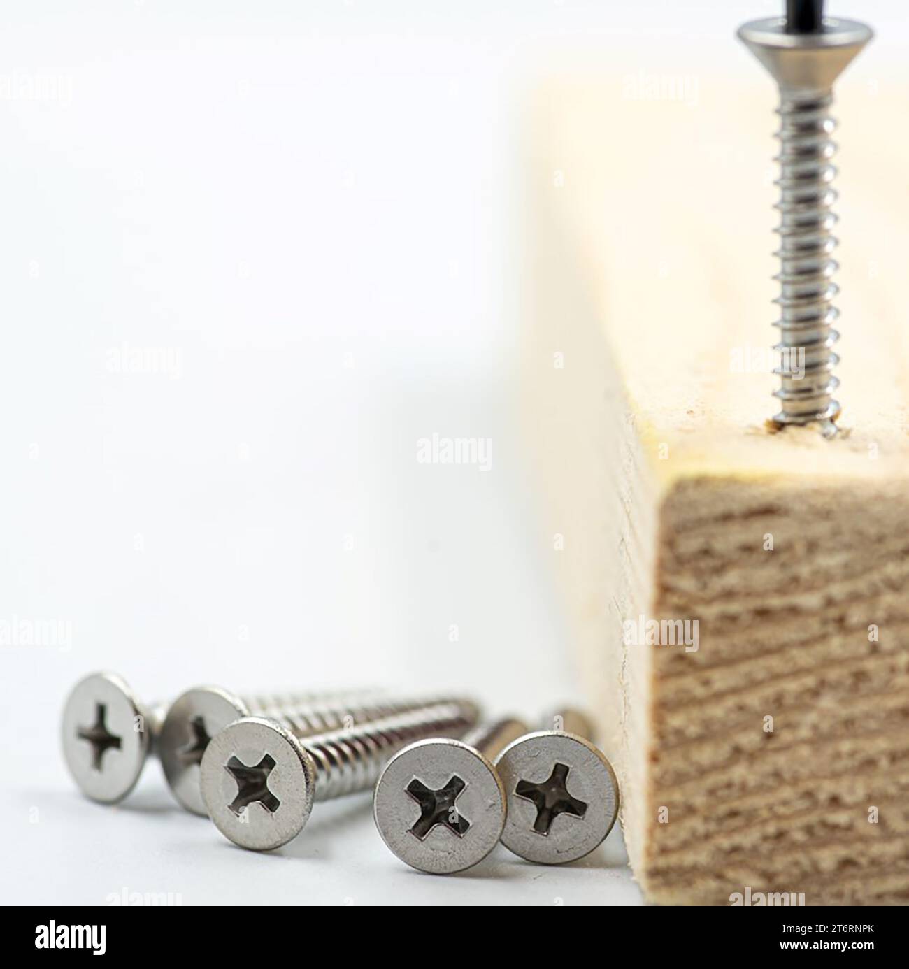 Wood screws arranged on white background Stock Photo - Alamy