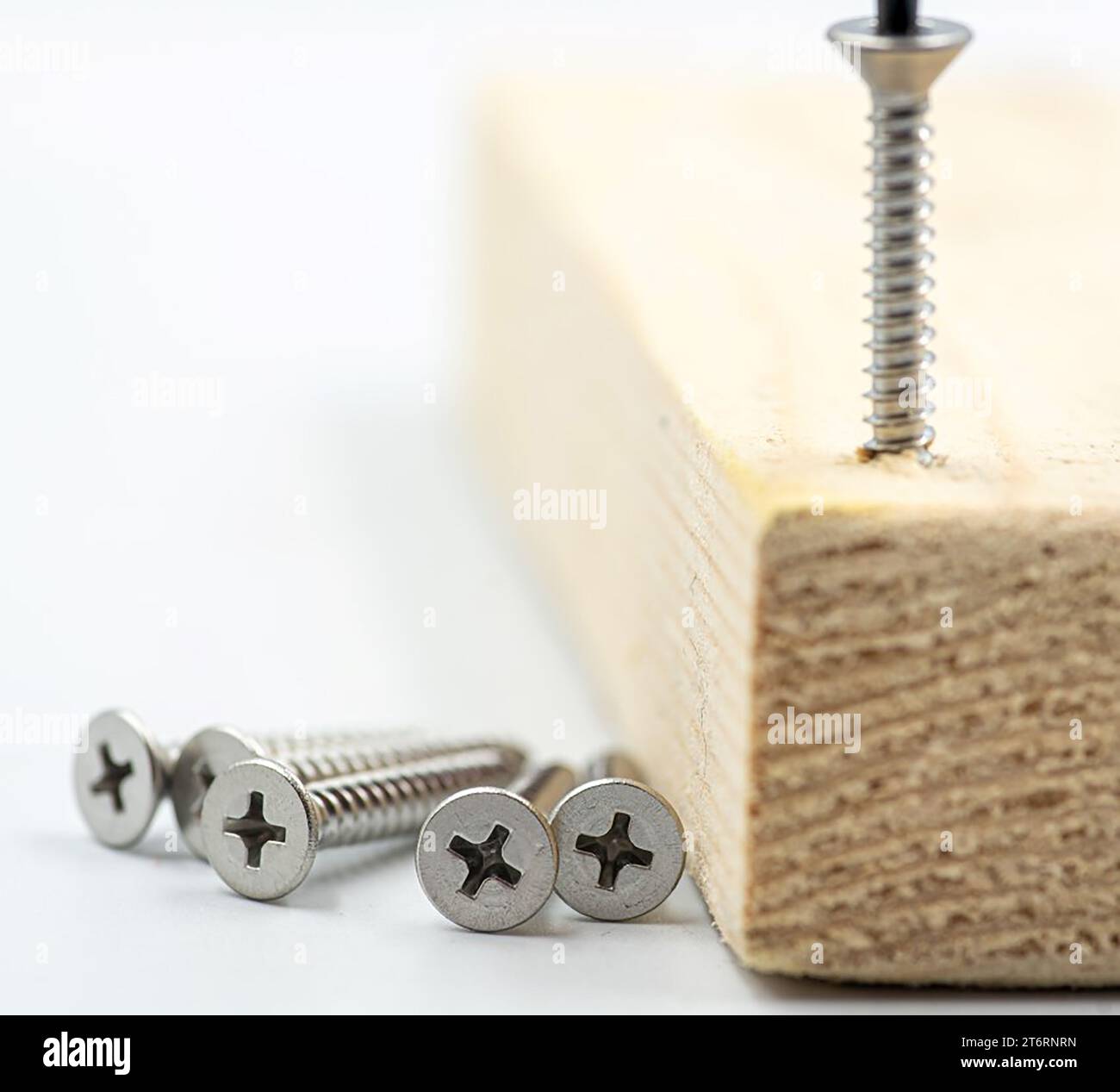 Wood screws arranged on white background Stock Photo - Alamy