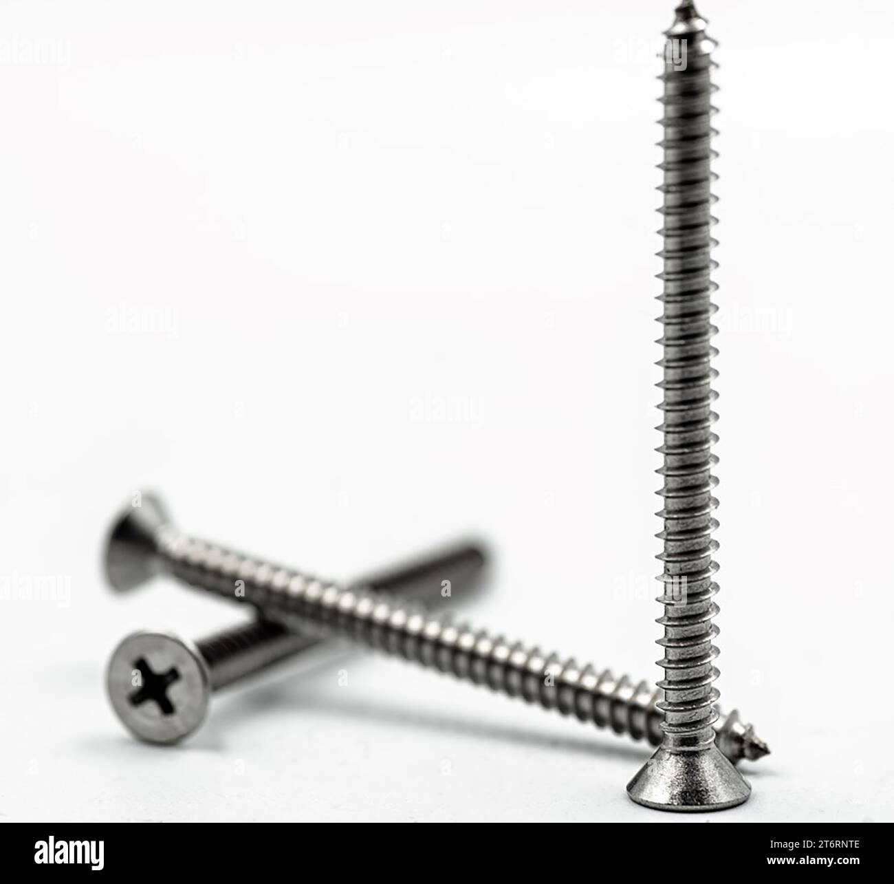 Wood screws arranged on white background Stock Photo - Alamy