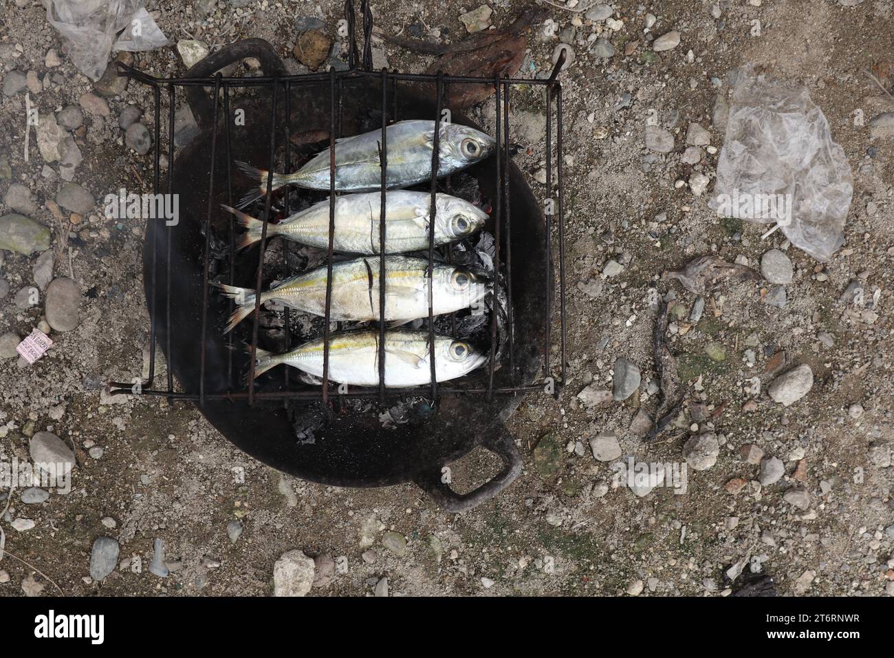 the process of making grilled fish that is burned over coconut shell ...