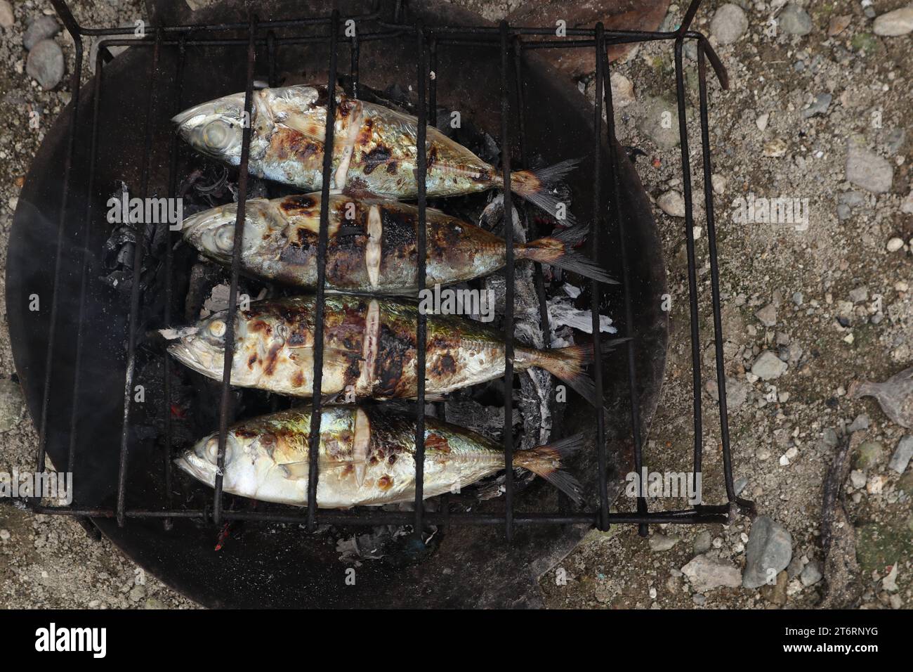 the process of making grilled fish that is burned over coconut shell ...