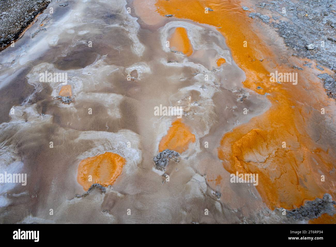 Grey colored geyserite hi-res stock photography and images - Alamy