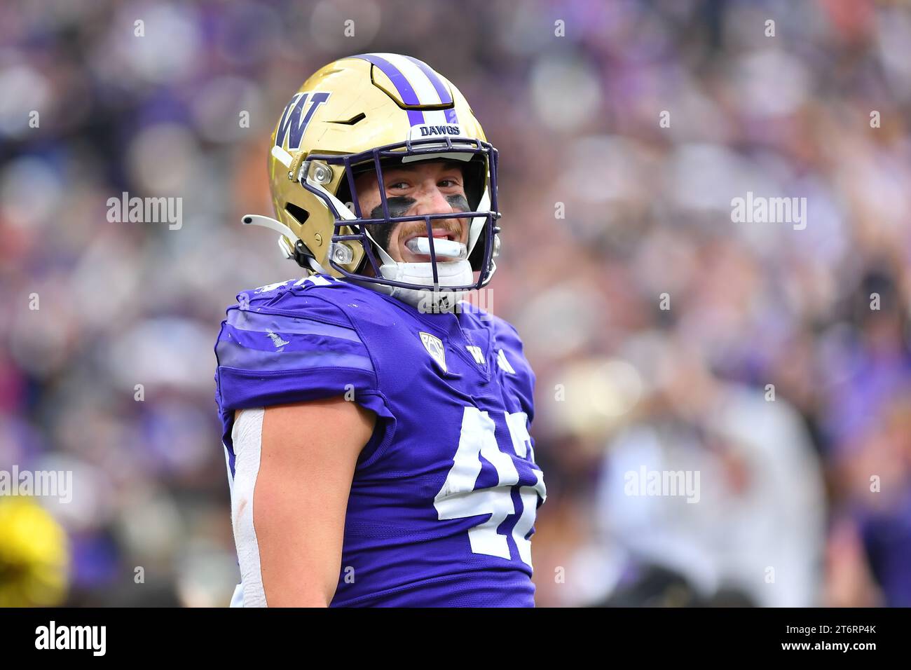 November 11, 2023: Washington Huskies linebacker Carson Bruener (42 ...