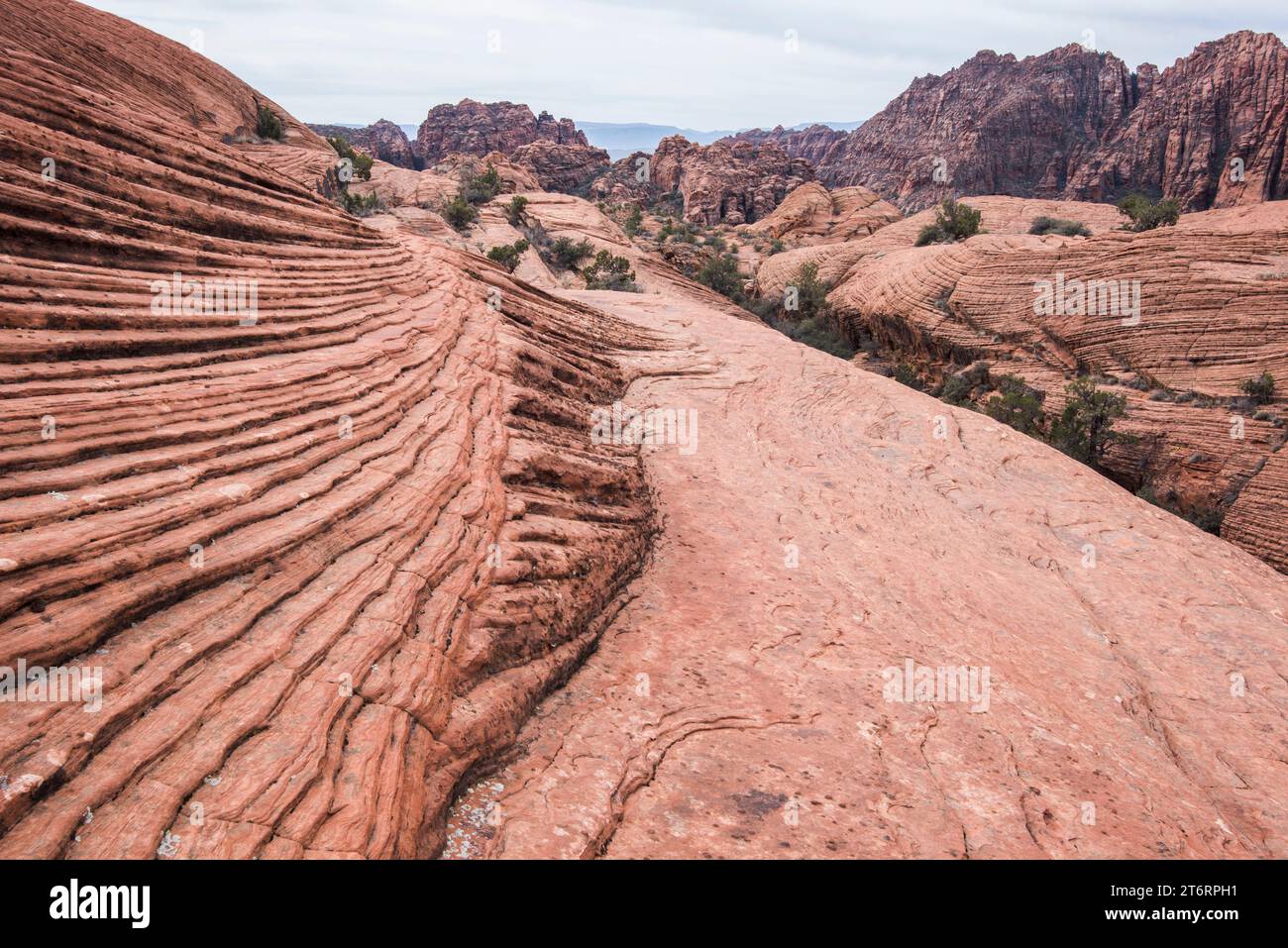 Layers of navajo sandstone create lines in the red rock at snow canyon ...
