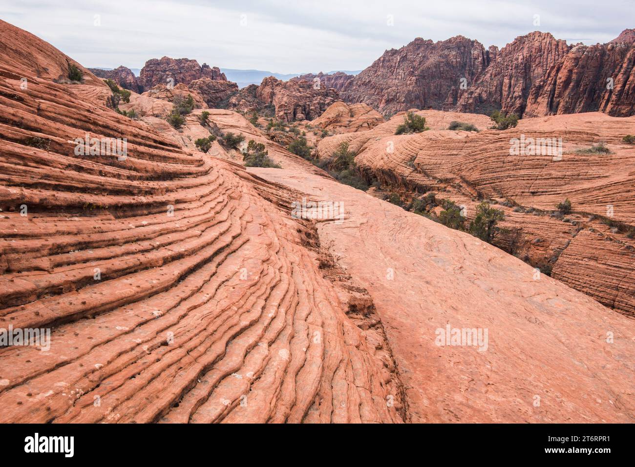 Layers of navajo sandstone create lines in the red rock at snow canyon ...