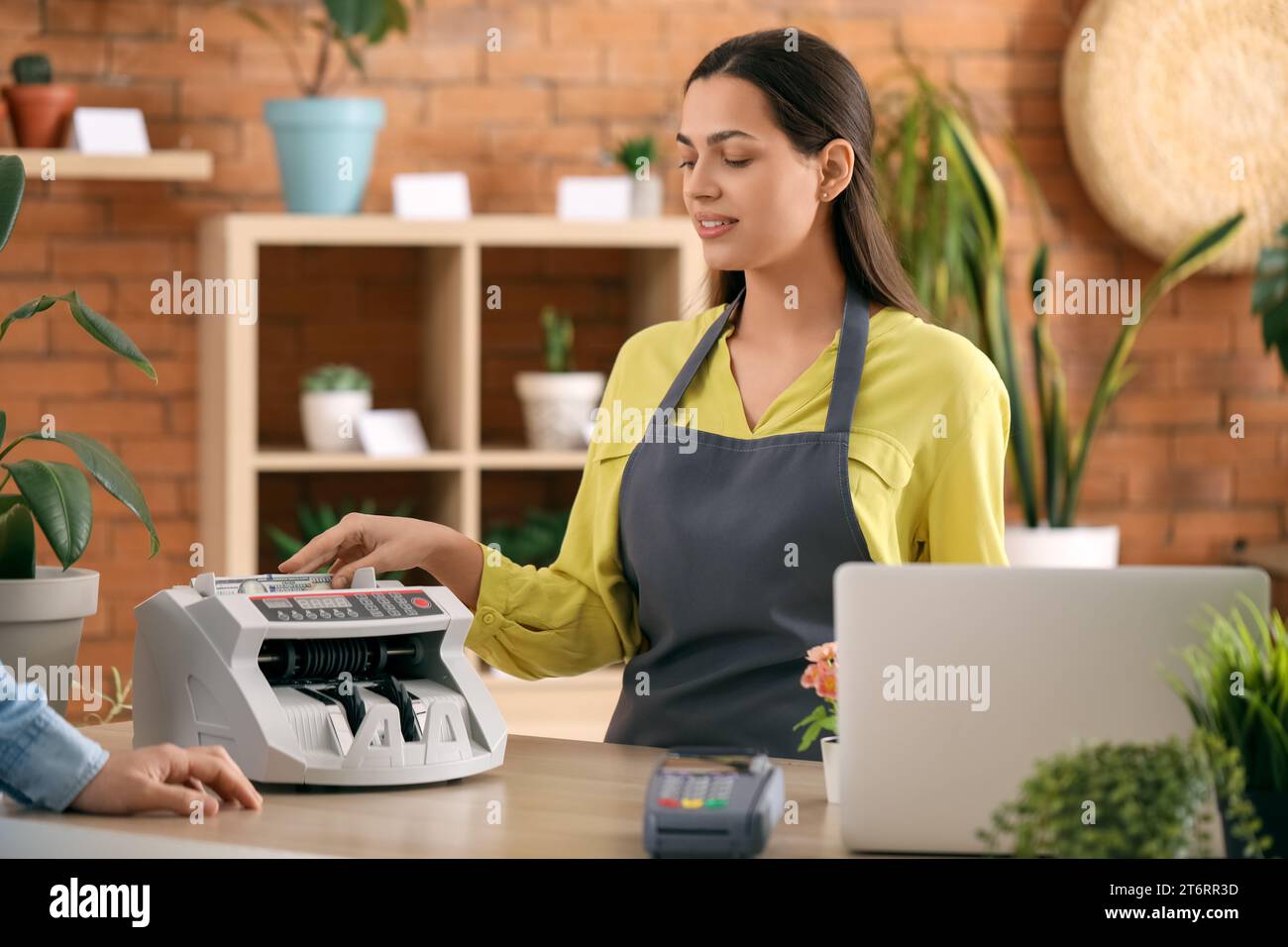 Female cashier counting money。 hi-res stock photography and images - Alamy