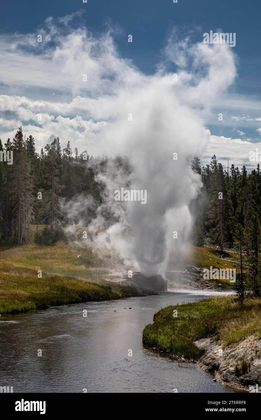 Meadow riverside forest hi-res stock photography and images - Alamy