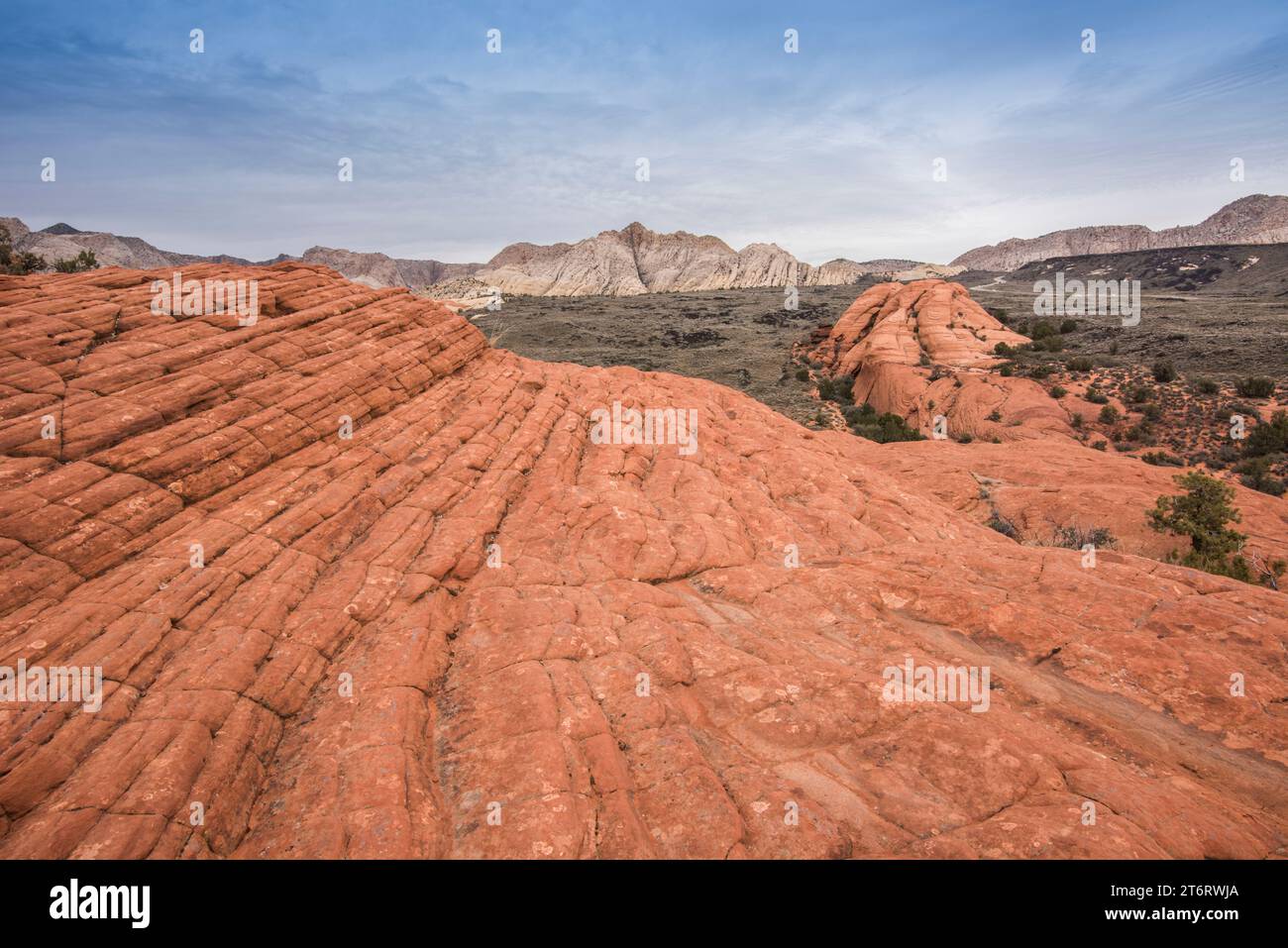 Layered navajo sandstone create leading lines in this scenic landscape ...
