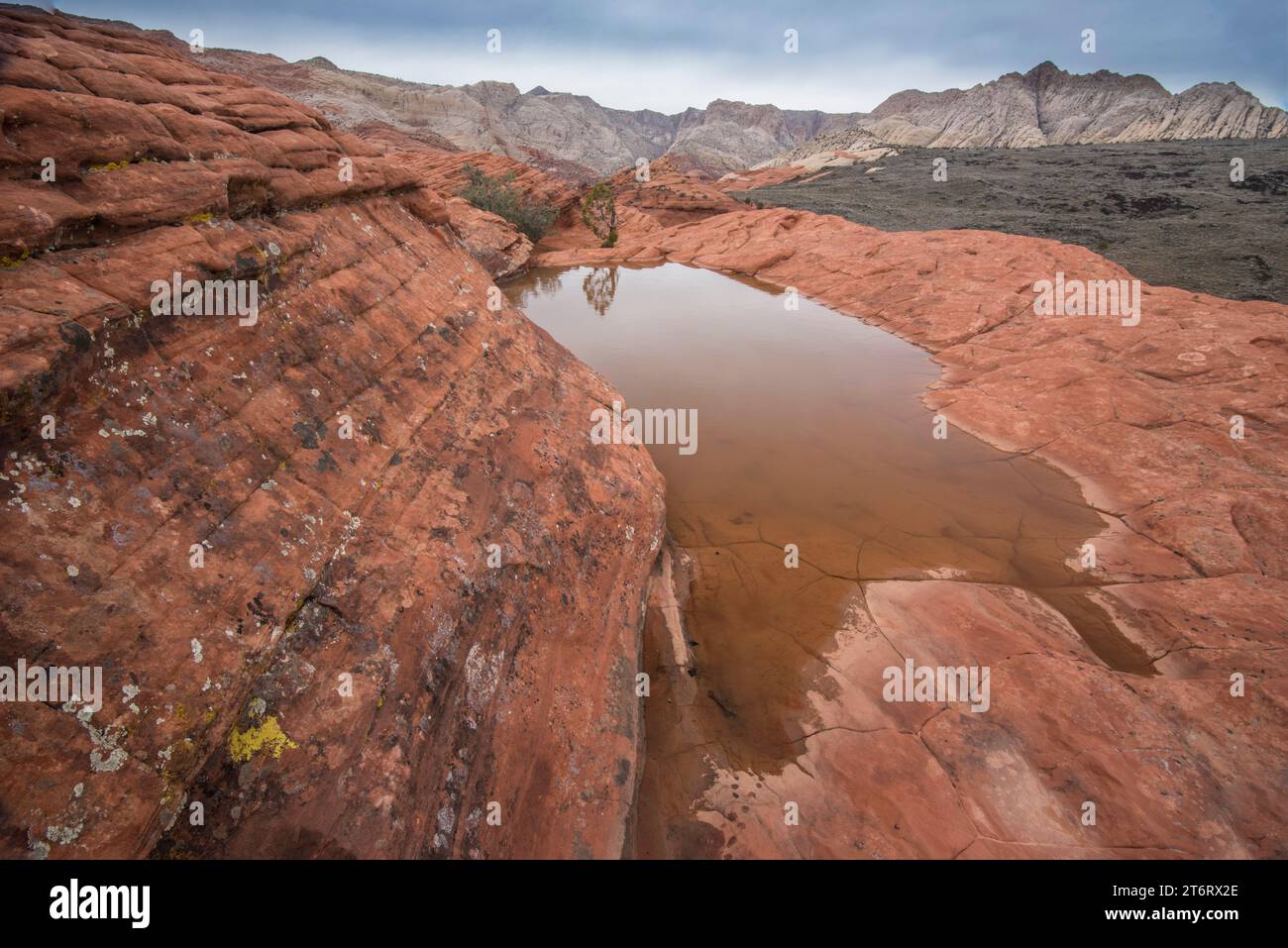 Scenic landscape at snow canyon state park, a water oasis in navajo ...
