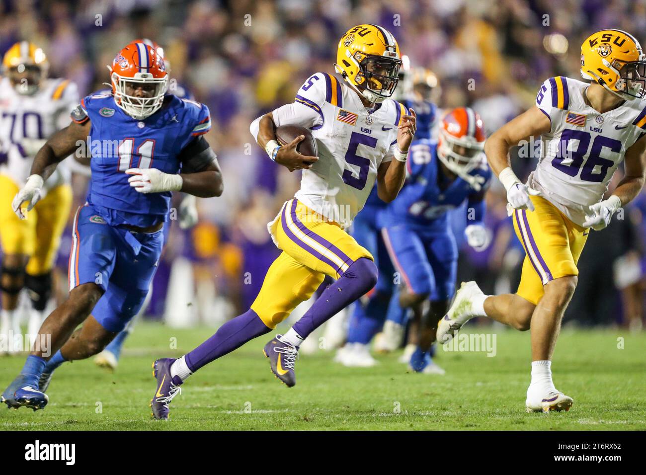 Kelby collins florida hi-res stock photography and images - Alamy