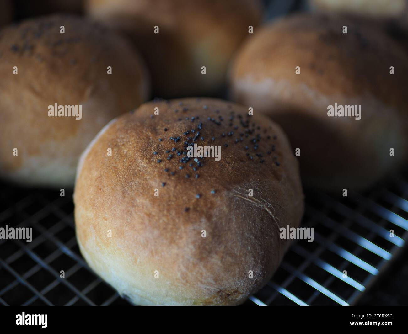 Fresh Sri Lankan Fish and Vegetable filled bun with Poppy seeds on top ...