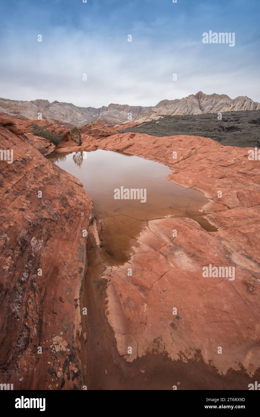 Scenic landscape at snow canyon state park, a water oasis in navajo ...