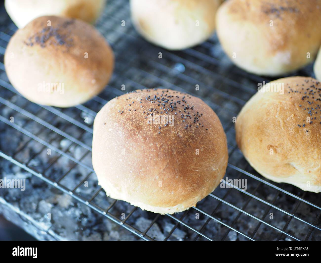 Fresh Sri Lankan Fish and Vegetable filled bun with Poppy seeds on top ...