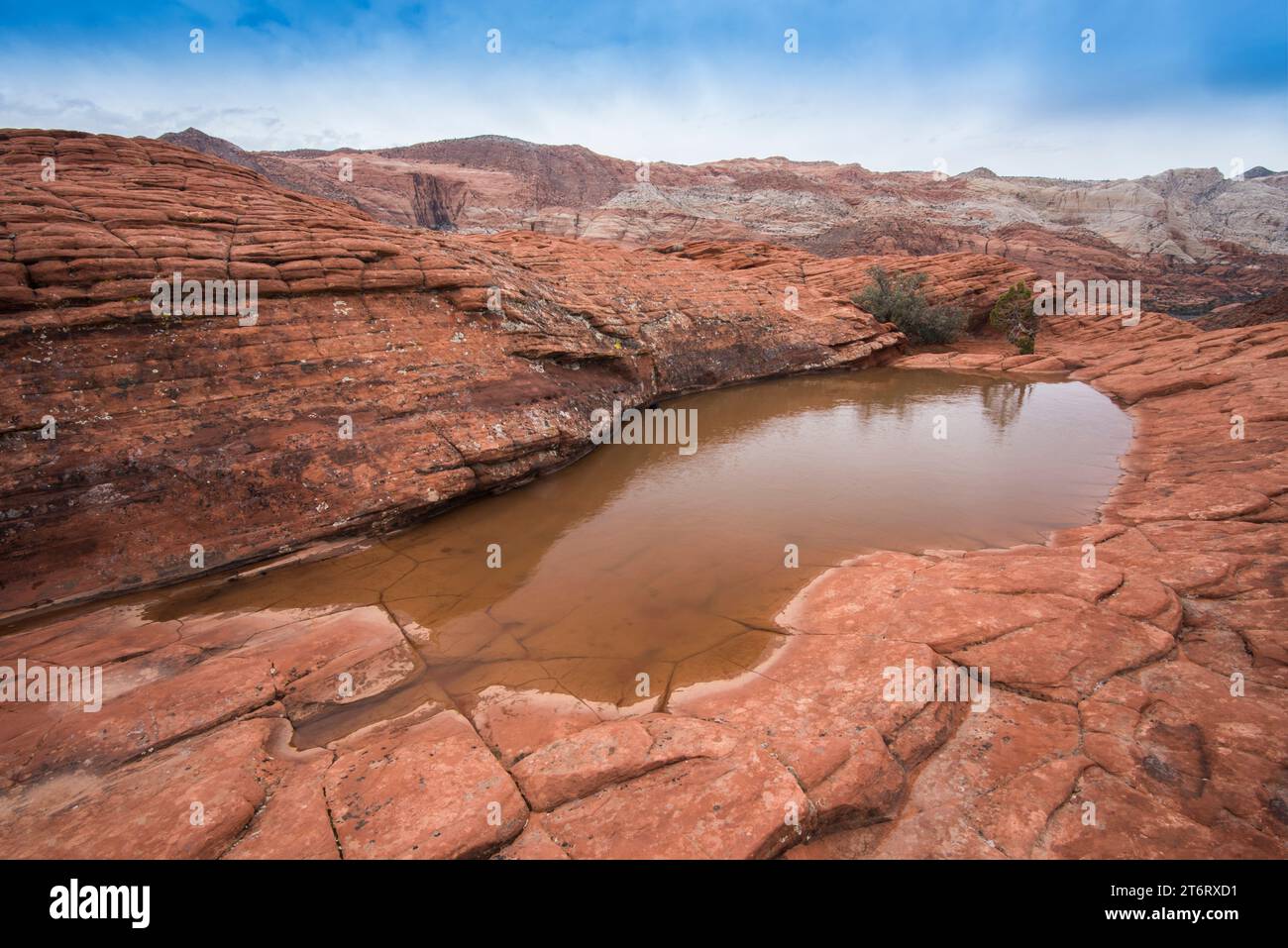 Scenic landscape at snow canyon state park, a water oasis in navajo ...
