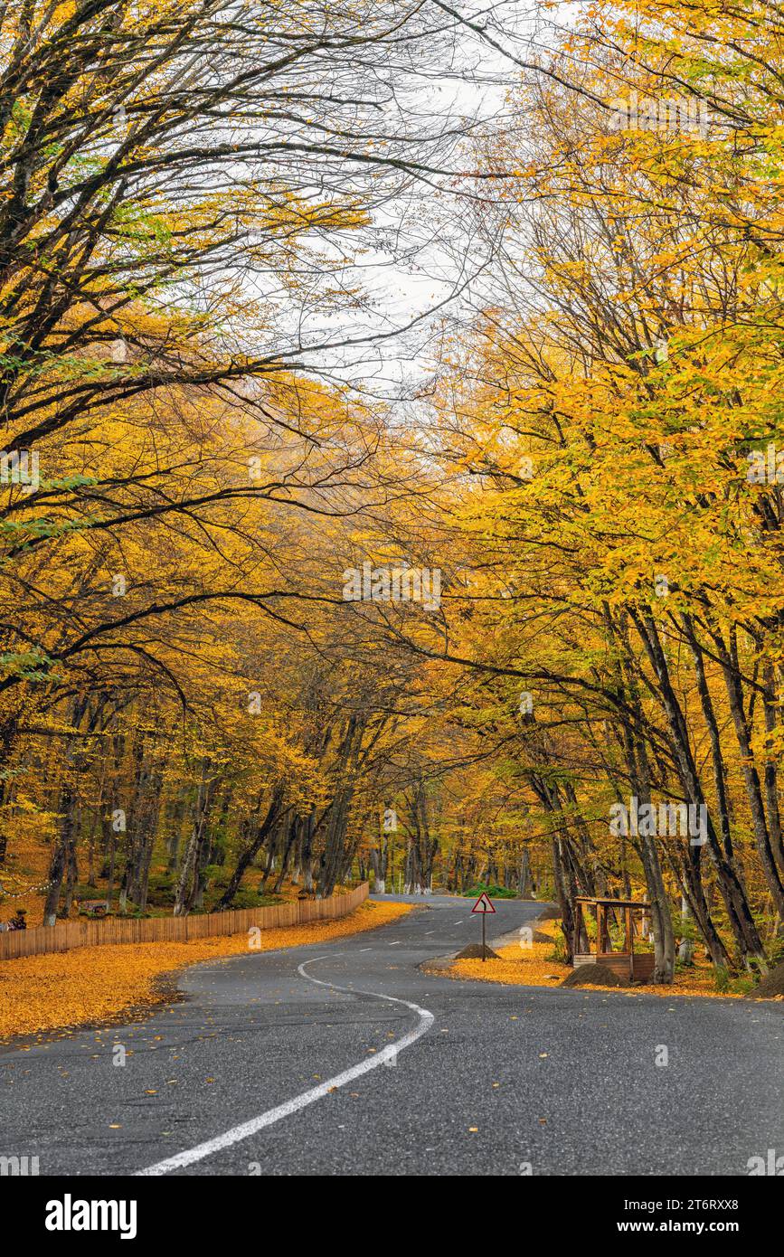 Fall color trees on road in Caucasus mountain of North Azerbaijan Stock ...