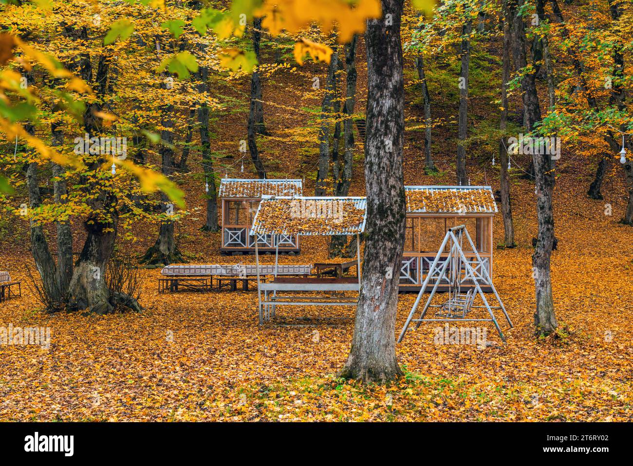 Forest cafe outdoor cafe in hi-res stock photography and images - Alamy