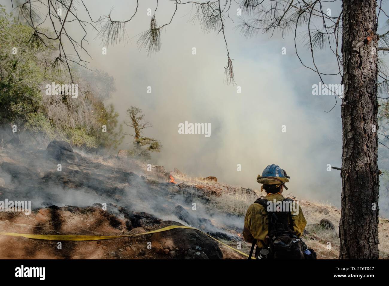 November 11, 2023, Paradise, California, USA: Cal Fire and Butte County ...