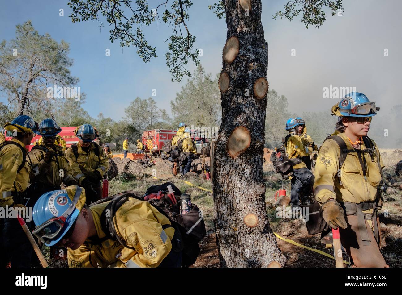 November 11, 2023, Paradise, California, USA: Cal Fire and Butte County ...