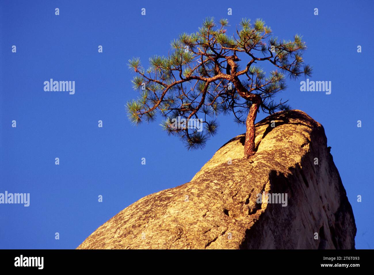 Outcrop cliff with pine, Peshastin Pinnacles State Park, Washington ...